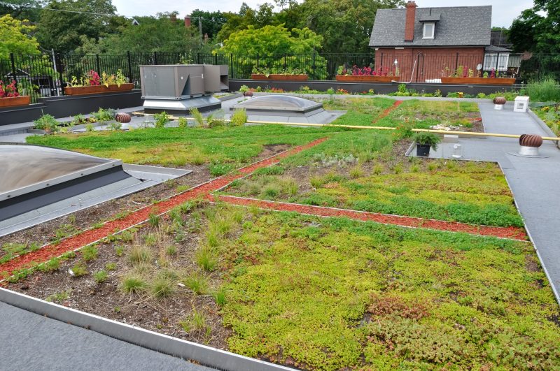 Les Toits Verts Comme Solution Aux Problèmes De Gestion Des Eaux ...